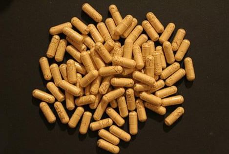 Probiótico: o que é, tipos de alimentos que contém e benefícios