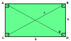Retângulos: definição, fórmulas, área, exercícios e mais!